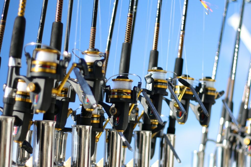 Hook, Line, and Savings: Where to Buy Fishing Gear - Lowcountry Ace ...